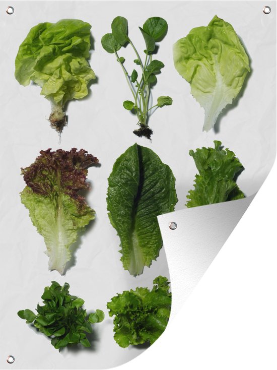 Tuin decoratie Negen verschillende soorten sla - 30x40 cm - Tuindoek ...