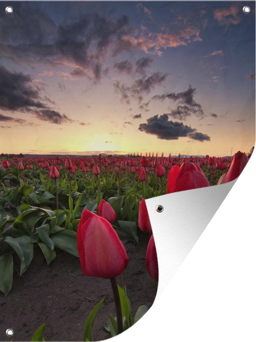 Affiche jardin - Toile jardin - Posters de jardin extérieur - Tulipes ...