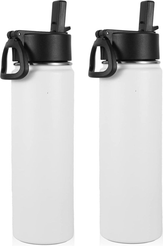 Waterflessen Met Rietje - 2 Pak - Geïsoleerd - 660ml - Roestvrij Staal ...