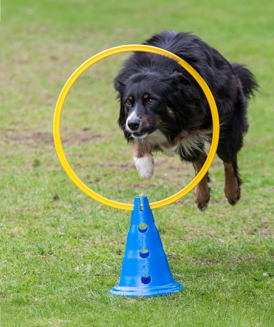 merkloos Agility Pylon 30 cm hoog per stuk Blauw 30 cm | bol