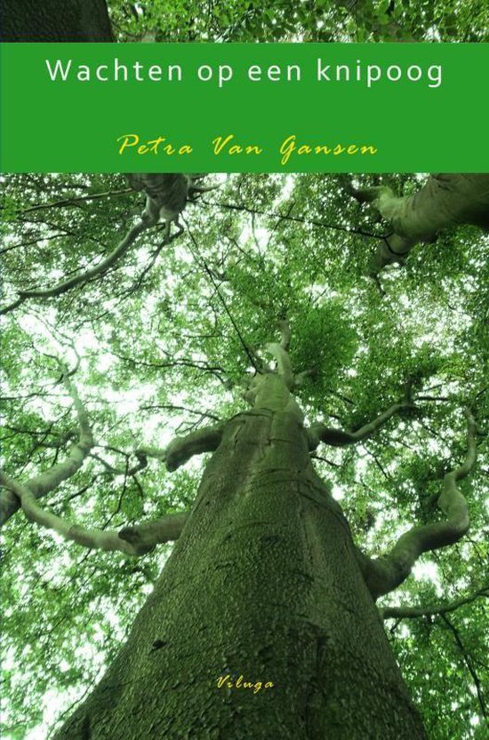 Wachten op een knipoog (ebook), Petra van Gansen | 9789402196368 ...