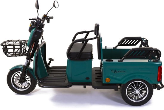 Elektrische Driewieler - Twee Zitplaatsen, 1400W Motor Eco Wielen ...