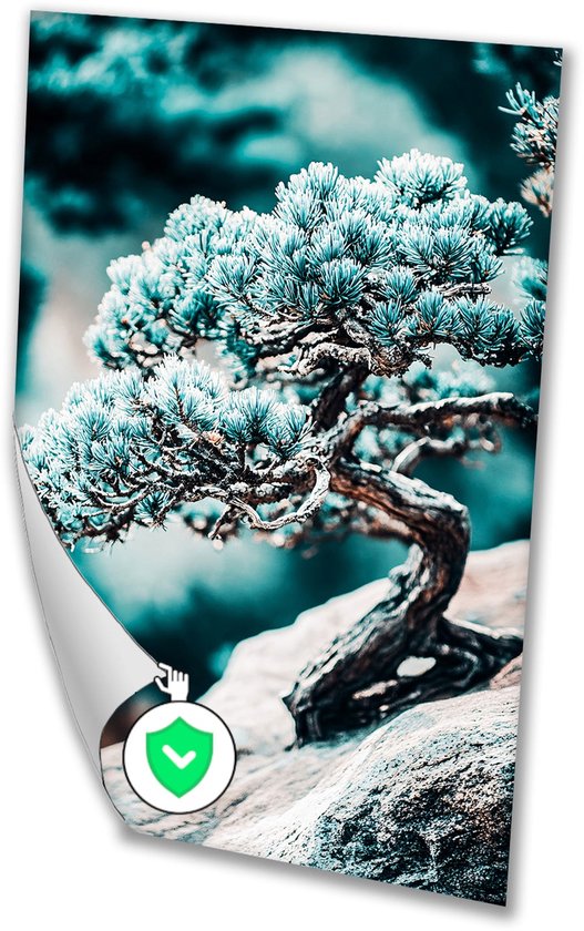 Gedetailleerde bonsai boom kunstwerk - Bonsai poster - Poster boom ...