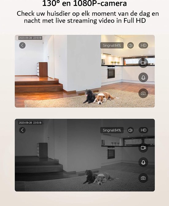 Beveiligingscamera - Huisdier Camera - Babyfoon - Honden Camera - Pet ...