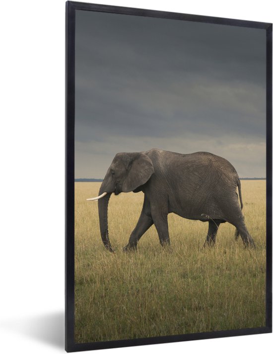 Fotolijst incl. Poster - Olifant - Savanne - Dieren - Natuur - 80x120 ...