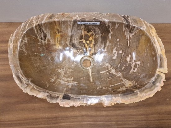 Waskom van versteend hout - 56x34x15cm - FL22810 | bol