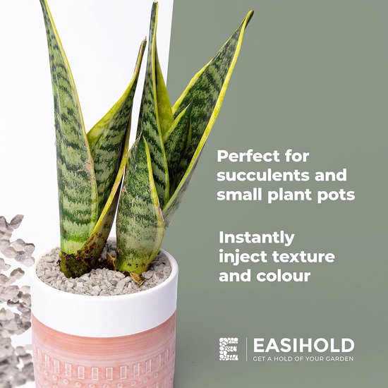Natural World Rock Plant Topper - Natuurlijke Stenen - Perfect voor ...