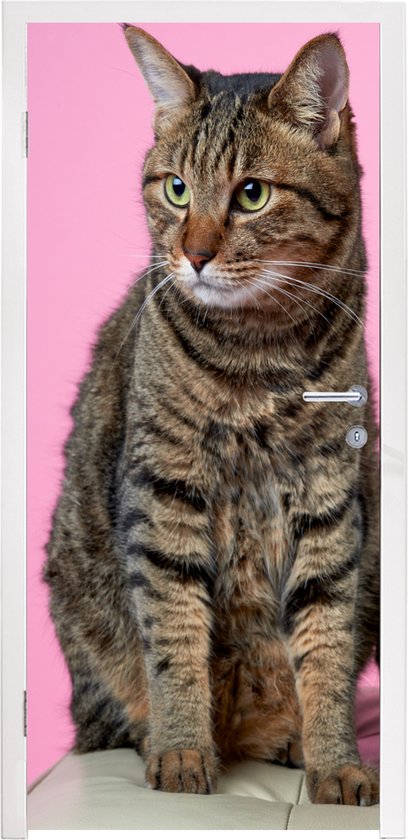 Deursticker Kat - Roze - Poef - Meisjes - Kinderen - Meiden - Kind ...