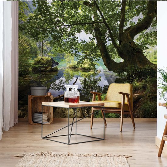 Fotobehangkoning - Fotobehang - Vliesbehang - Behang - Bos - Boom ...