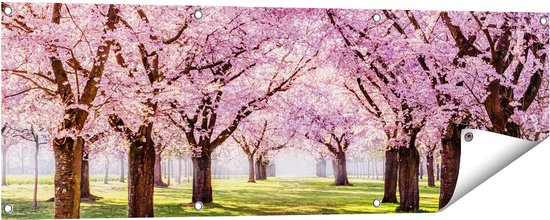 Gards Poster de jardin Parc d'arbres en fleurs roses - Fleurs - 120x40 ...
