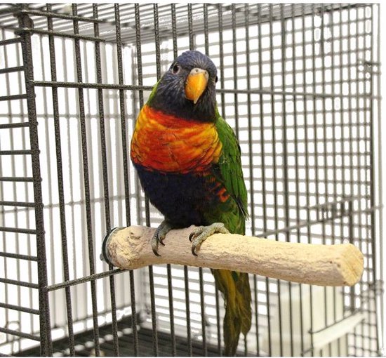 Back Zoo Nature Super Stone Perch S/M -15cm Parakeet | bol.com