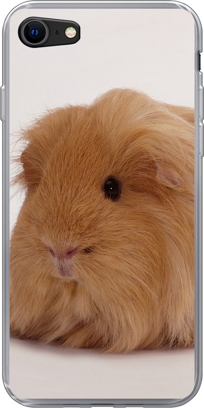 iPhone 8 hoesje - Sheltie cavia - Siliconen Telefoonhoesje | bol.com