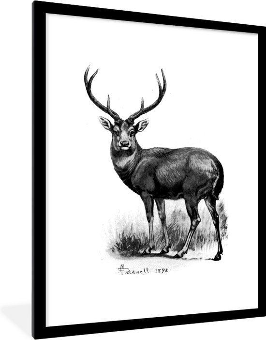 Fotolijst incl. Poster - Een antieke illustratie van een hert in het ...