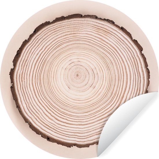 WallCircle - Muurstickers - Behangcirkel - De jaarringen van een boomstam - 30x30 cm -... | bol.com