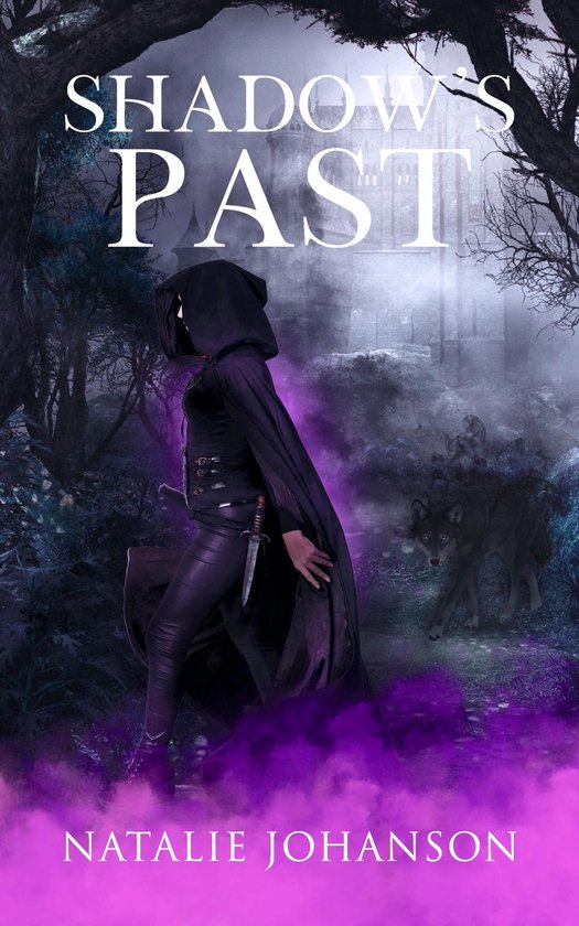 Shadowstalker Series 2 - Shadow's Past (ebook), Natalie Johanson | 9781088012444 | Boeken | bol.com