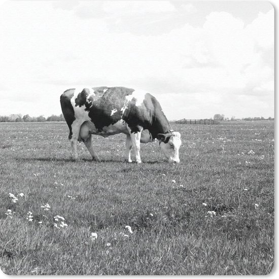 Muismat - Mousepad - Etende Koe - zwart wit - 30x30 cm - Muismatten ...