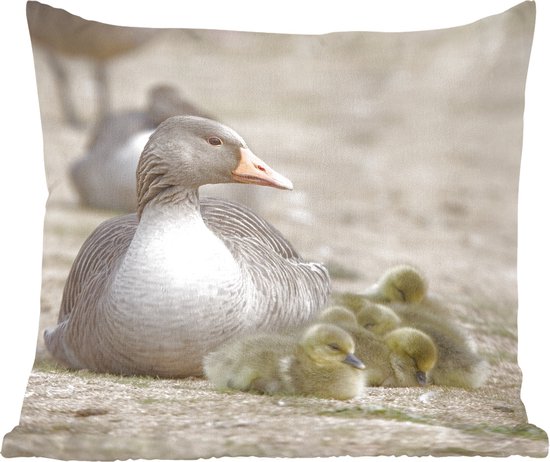 Gans - Familie - Kuiken | bol.com