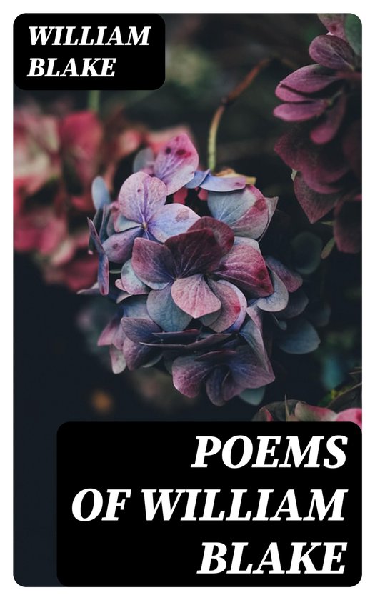 Poems of William Blake (ebook), William Blake | 8596547320685 | Boeken ...