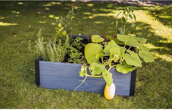 Keter | 2 Stuks Moestuin Plantenbak | Verhoogd Tuinbed | Kweekbak ...
