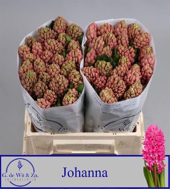 DutchFlowers - Boeket - 60x Rosa mix vast minaye 40cm | bol