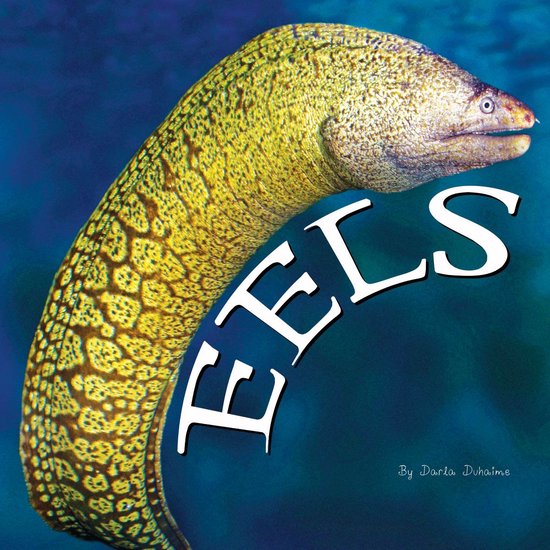 Ocean Animals - Eels (ebook), Darla Duhaime | 9781731603159 | Boeken | bol