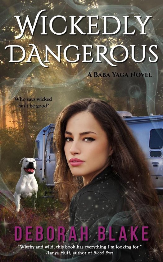 Wickedly Dangerous (ebook), Deborah Blake | 9798224464951 | Boeken | bol