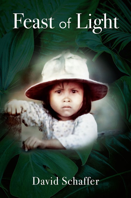 Feast of Light (ebook), David Schaffer | 9781977273994 | Boeken | bol