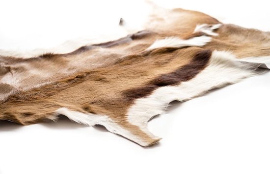 Springbok vel - Springbokhuid | bol