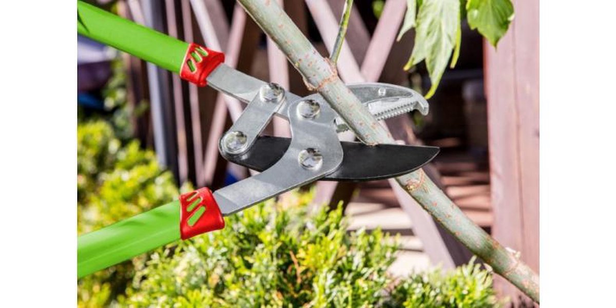 Takkenschaar Classic 75 cm Met aambeeld. max Ø 35 mm. | bol.com