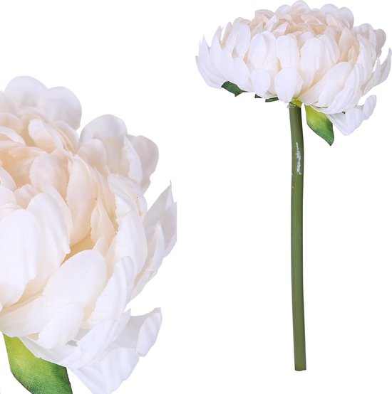 Chrysant flower white | bol.com