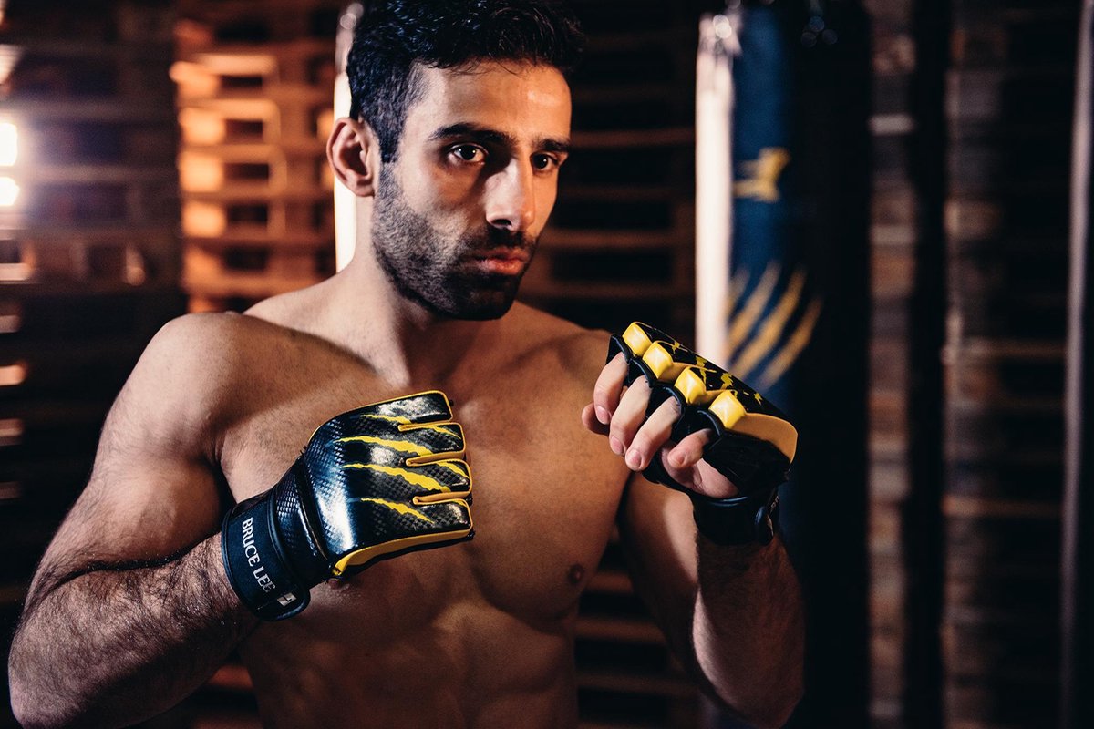 Bruce Lee Signature Grappling Gloves - Grappling handschoenen M | bol.com