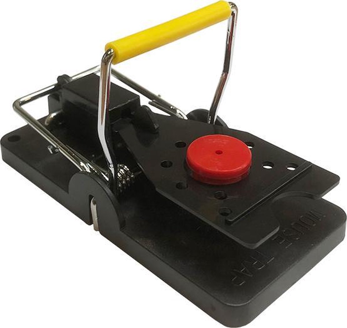 Ronada Ratten En Muizen Loktablet Anijs (5 Stuks) Tegen Muizen - Ronada ...