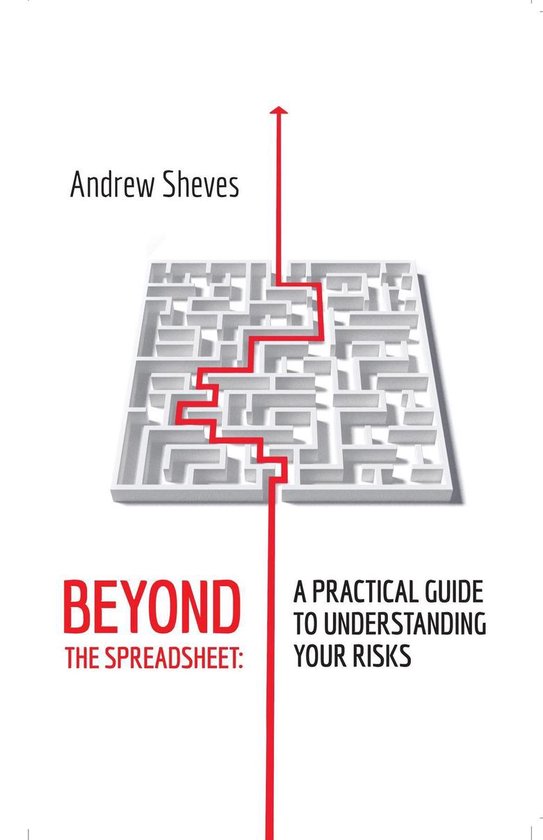 Beyond The Spreadsheet (ebook), Andrew Sheves | 9781734511635 | Livres ...