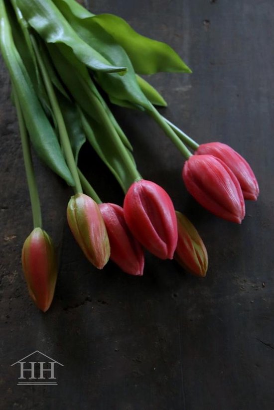 Tulpen - in knop - fel roze | beauty - 44cm - 7 stelen - kunst tulpen ...