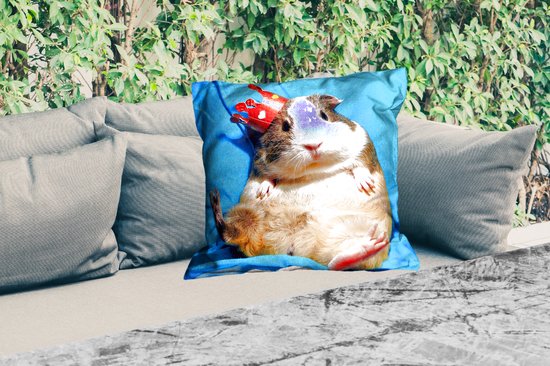 Sierkussen Buiten - Cavia - Grappig - Kroon - Kinderen - Jongens ...