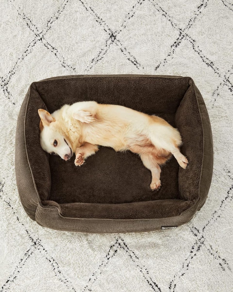 lit pour chien, lit pour chien lit pour chat lit pour animal de ...