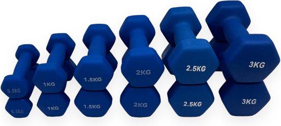 Padisport Dumbells Blauw 0,5 T/m 3 Kg - Dumbells 3 Kg - Gewichten Set ...