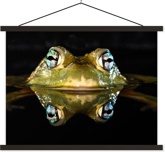 Posterhanger incl. Poster - Schoolplaat - Kikker - Ogen - Portret ...