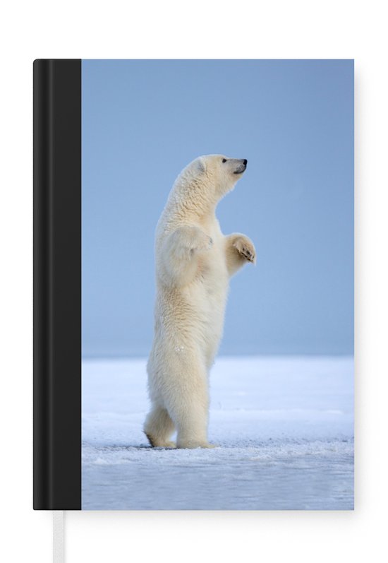 Carnet - Carnet d'écriture - Ours polaire - Drôle - Neige - Enfants ...