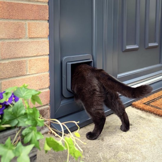 Kattenluik chip - Kattenluik met microchip - Kattenluik met ...