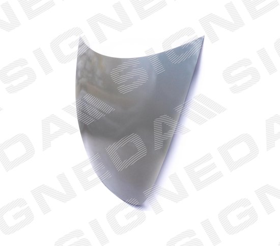 MOTORKAP VOOR TESLA MODEL Y 2020- 1493370-S0-A Aluminium | bol