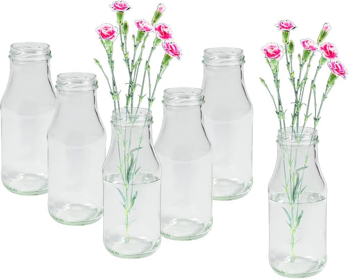 6 stuks ronde mini-vaasjes type 263, kleine decoratieve flesjes ...