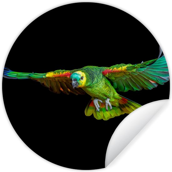 WallCircle - Muurstickers - Behangcirkel - Papegaai - Vogel - Veren - ⌀ 30 cm -... | bol