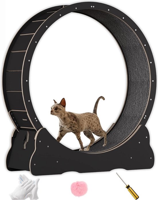 Premium Loopwiel Kat - Katten Loopwiel Stil - Looprad Kat Eenvoudige ...