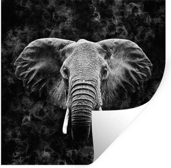 Muurstickers - Sticker Folie - Olifant - Dieren - Rook - Zwart - Wit - 120x120 cm -... | bol