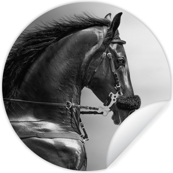 WallCircle - Muurstickers - Behangcirkel - Paarden - Zwart - Portret - Dieren -... | bol