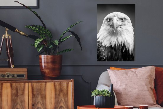 Muurstickers - Sticker Folie - Arend - Roofvogel - Zwart - Wit - Dieren ...