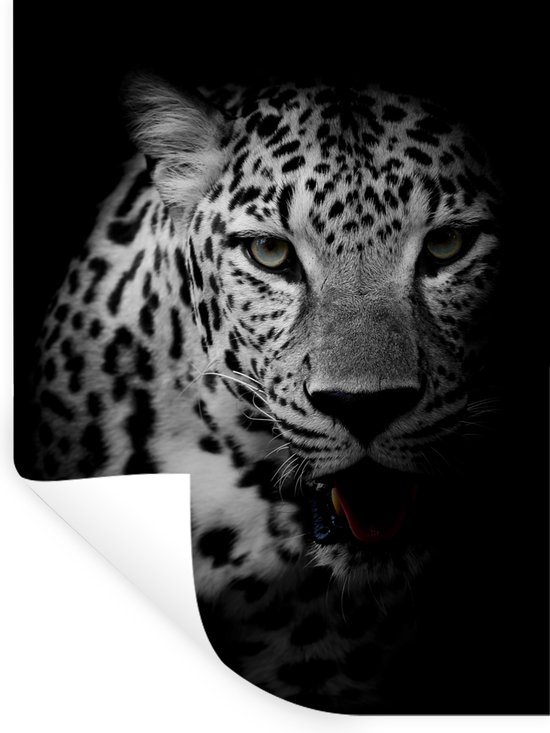 Muurstickers - Sticker Folie - Dieren - Zwart - Wit - Panter - Portret - 60x80 cm -... | bol