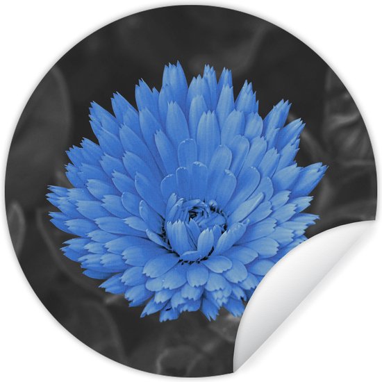 WallCircle - Muurstickers - Behangcirkel - Bloemen - Zwart - Wit - Blauw - ⌀ 140 cm -... | bol