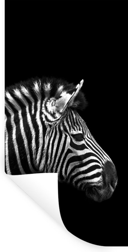 Muurstickers - Sticker Folie - Zebra - Zwart - Wit - Portret - Dieren - 60x120 cm -... | bol